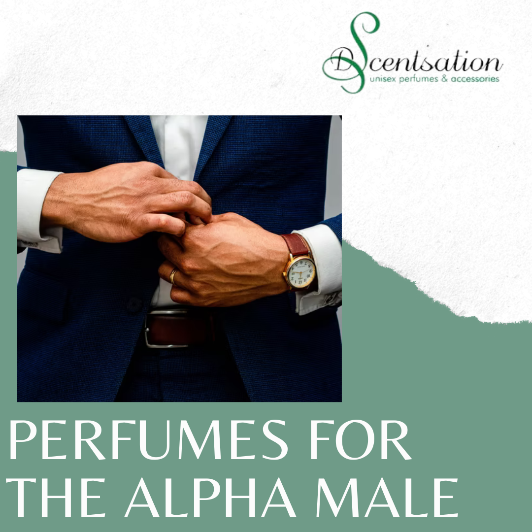 6 must-have perfumes for the alpha male | D'Scentsation