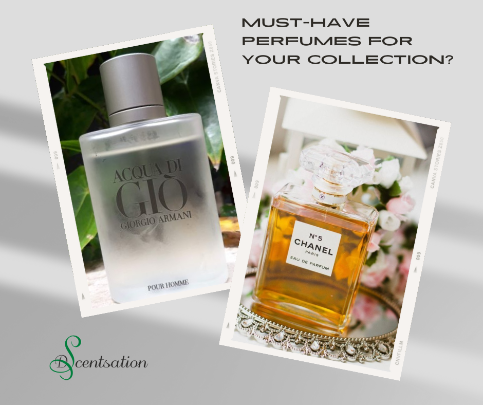 Must-Have Perfumes for Your Collection | D'Scentsation